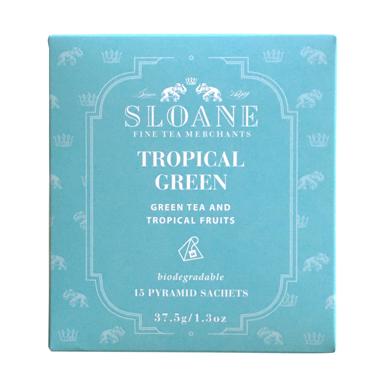 Fine Tea– Kitten and the Bear